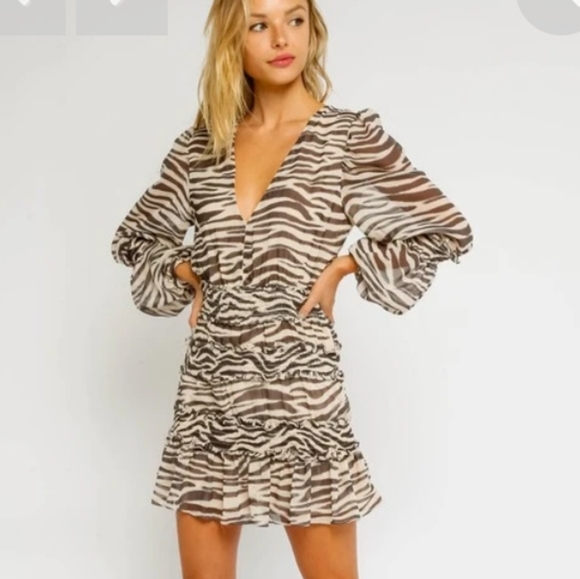 Who What Wear | Dresses | Who What Wear Zebra Sheer Dress | Poshmark